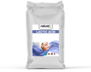 Naturex Lactic Acid 25Kg | Makro