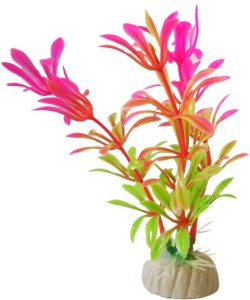 Umlozi Aquarium Artificial Plants Fern - 12cm - Bright Pink Aquarium ...