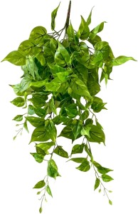 Green Design Pothos Artificial Plant | Makro