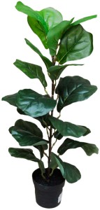 ECO Moss Artificial Plant with Pot | Makro