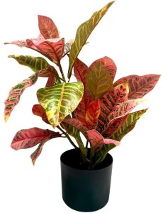 Green Design Croton Artificial Plant with Pot | Makro