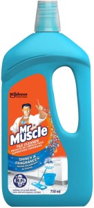 Mr Muscle Tile Cleaner Shine & Fragrances Mountain Fresh | Makro