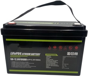 Generic 0000 Lithium-ion Battery | Makro