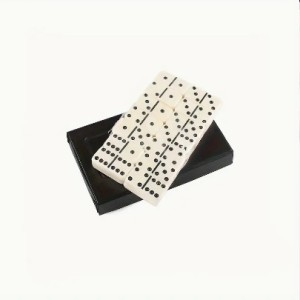 Greenwood Dynamic Dominoes Game Set Educational Board Games Board Game ...