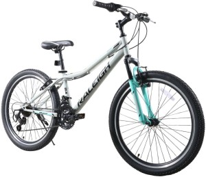 Raleigh Pheonix Mountain Bike 24 inch | Makro