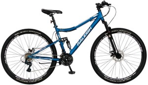 Raleigh Scout Mtb 29 inch | Makro