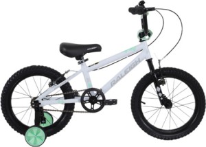 Raleigh Roar MTB Cycle 16 inch | Makro