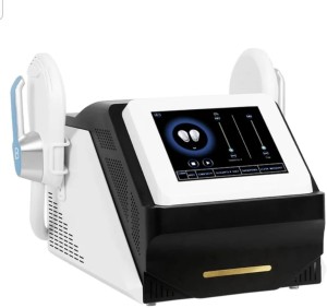 EMSLIM-201 EMS SCULPTOR BODY SHAPING MACHINE | Makro