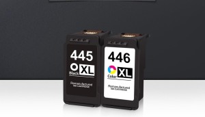 Canon Generic PG-445 + CL-446 ColourInk Quest Black and Tri Colour ...