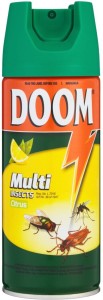 Doom Multi Insect Citrus Aerosol | Makro