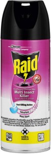 Raid Multi Insect Killer Odourless Aerosol | Makro