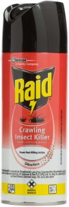 Raid Crawling Insect Killer Aerosol | Makro