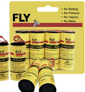 The fly Catcher 96 Pack of Fly Catcher Ribbons Stick | Makro