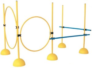 Vinex Obstacle Course Activity Set for Kids (V2) Ring Toss | Makro