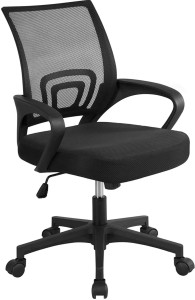 Eay Eay Thing Ergonomic Mid-Back, Mesh , Office Chair Typist Office ...