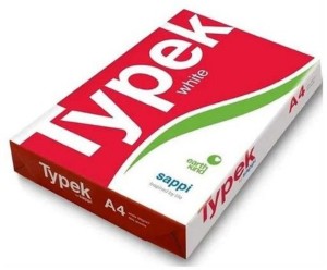 Typek A4 80 gsm Copy Paper | Makro