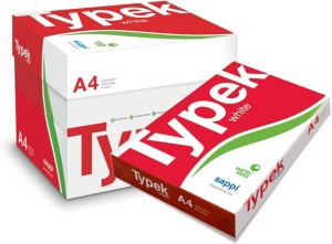 Typek A4 80 gsm Copy Paper | Makro