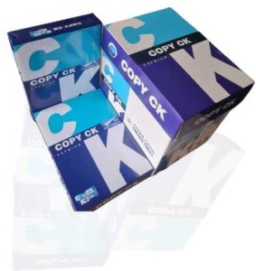 A4 PAPER A4 80 gsm Copy Paper | Makro