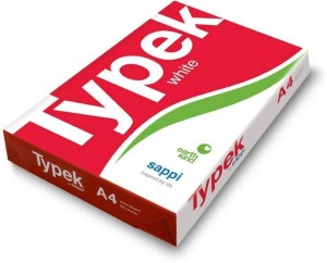 Typek A4 80 gsm Copy Paper | Makro
