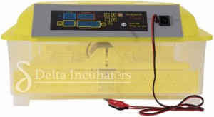 Delta Incubators 56 Egg Automatic Incubator – Dual Voltage Pet Spa Kit | Makro
