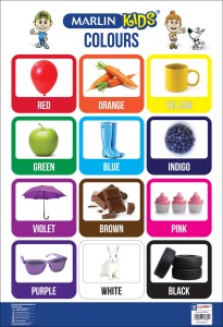 Educational Kids Chart - Colours Photographic Paper | Makro