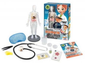 Buki Human Body Anatomy, 12 Experiments Educational Role Play Toy | Makro