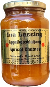 Ina Lessing Apricot Chutney 410ml Sauce | Makro