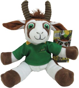 Springboks Bokkie Plush - Medium | Makro