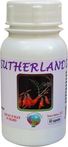Activate the Body Sutherlandia Capsules | Makro