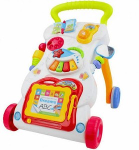 Perfect Dealz 2-in-1 Walker | Makro