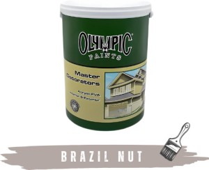 Olympic Paints Master Decorators Brazil Nut Emulsion Wall Paint | Makro