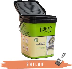 Olympic Paints Master Decorators Shiloh Emulsion Wall Paint | Makro