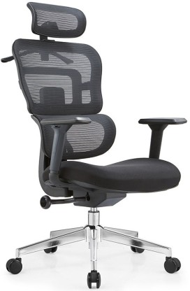 Eay Eay Thing EliteMesh Executive Ergonomic Ergo Office Chair - 3D Arm ...