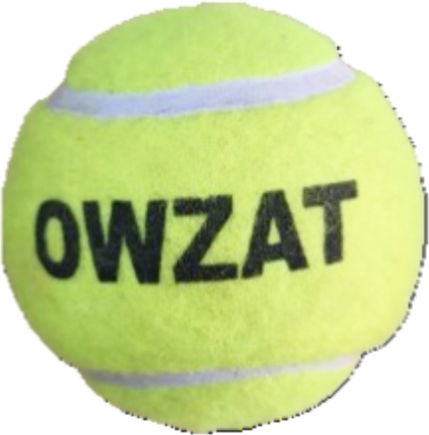 Cricket Balls | Makro