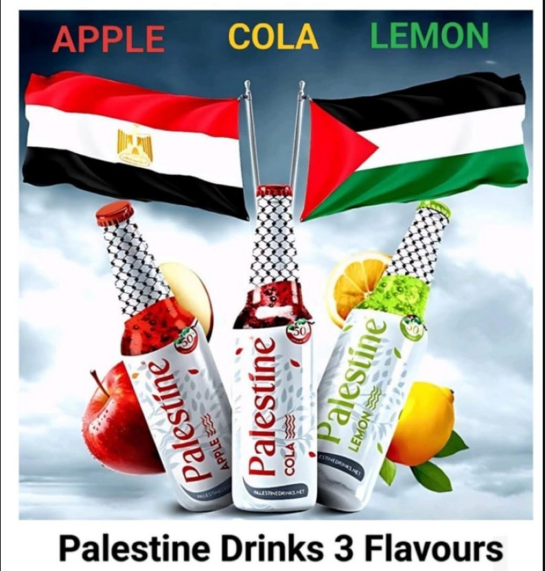 Palestine cola Palestine Drinks | Makro
