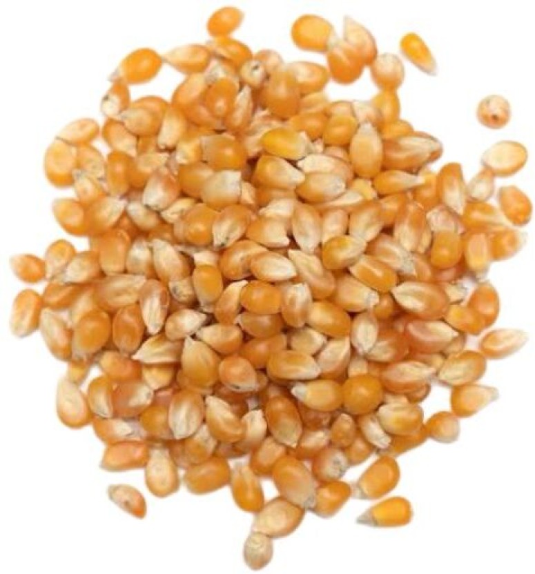 SPICE N MORE POP CORN SEEDS RAW Popcorn | Makro