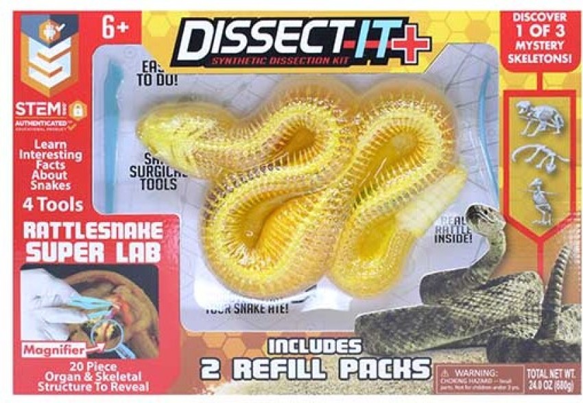 dissect a snake kit
