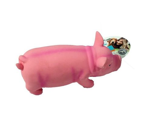 Pawise Funny Squeaky Pig | Makro