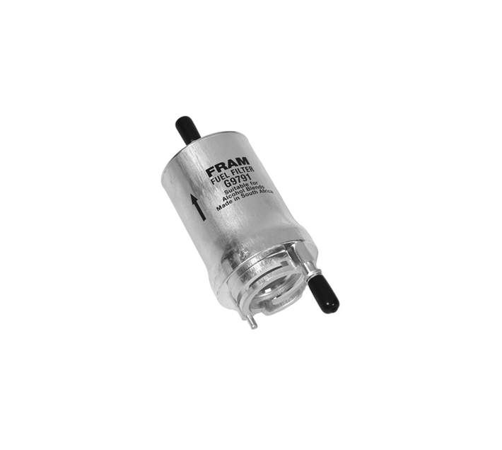 FRAM PETROL FILTER - G9791 | Makro