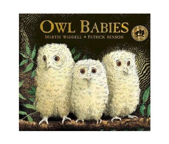 Owl Babies (Board book) | Makro