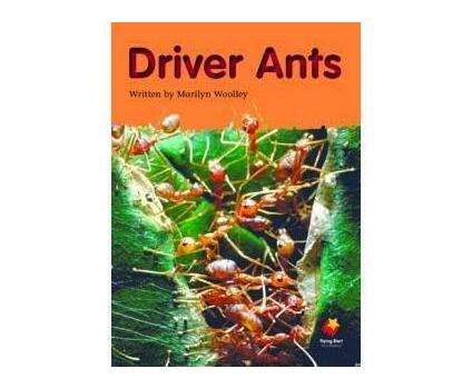 Flying Start: Driver Ants : Level 20 : Grade 2 (Paperback / softback ...