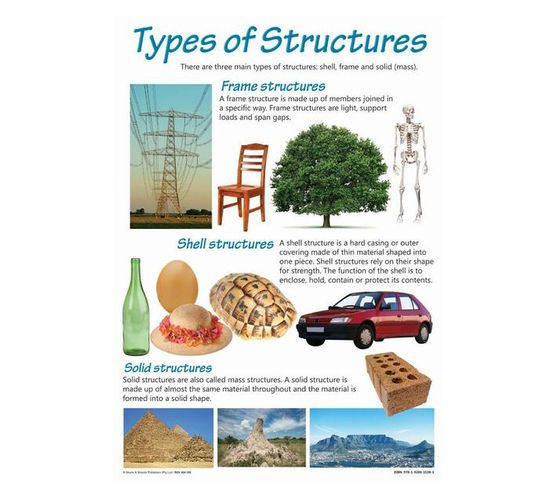 Chart: Types of structures (Wallchart) | Makro